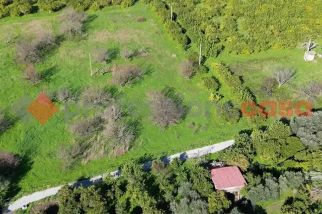 Terreno agricolo in vendita, Via Filicusa Snc, Milazzo, 26.509 mq ...